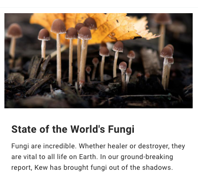 {news} State of the World’s Fungi 2018 – Maine Mycological Association