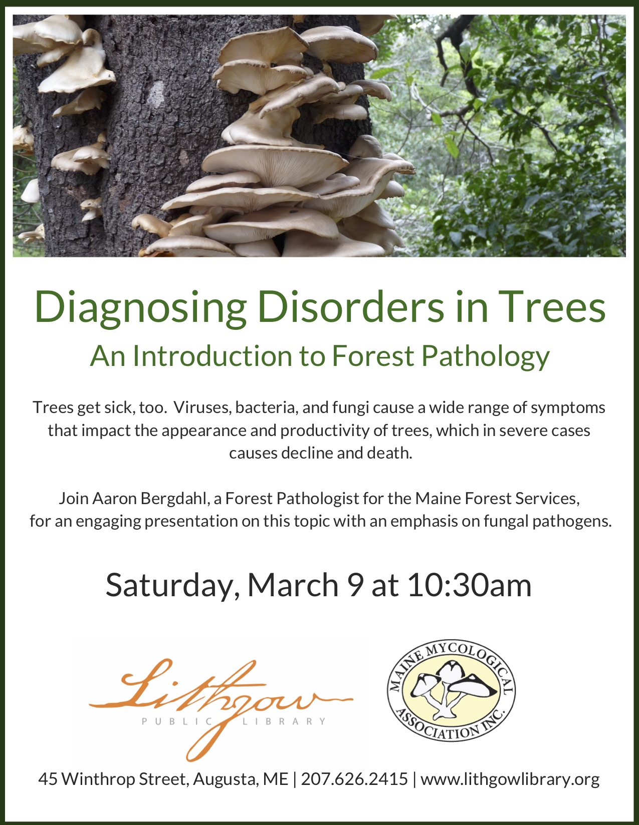 Aaron Bergdahl, Forest Pathology Talk, Saturday 9 March, Lithgow ...