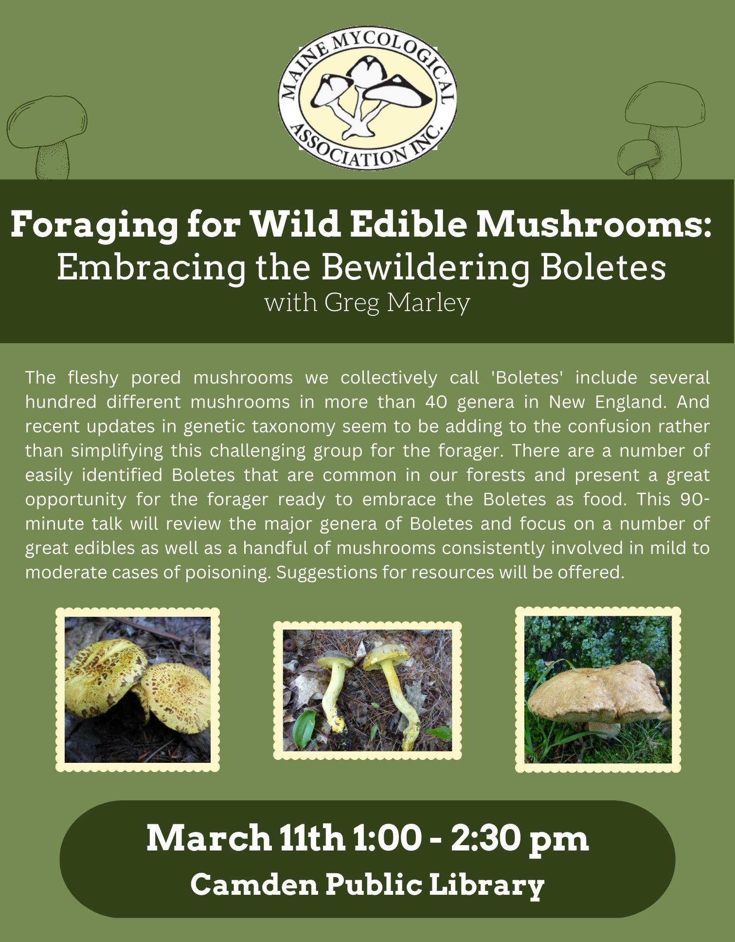 Foraging for Wild Edible Mushrooms: Embracing the Bewildering Boletes ...